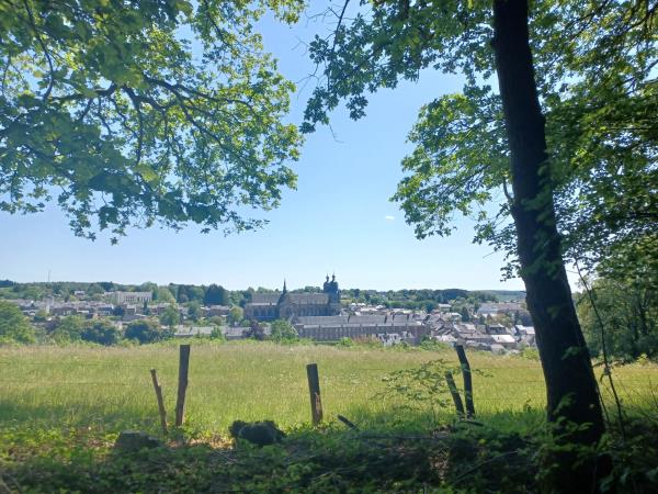 Le Cor De Chasse - Hôtel à Saint Hubert